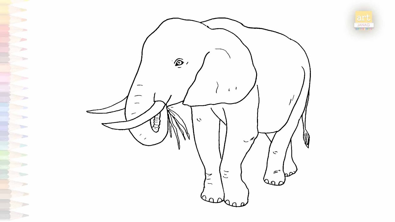Elephant eating grass drawing easy | Outline sketches | How to draw an ...