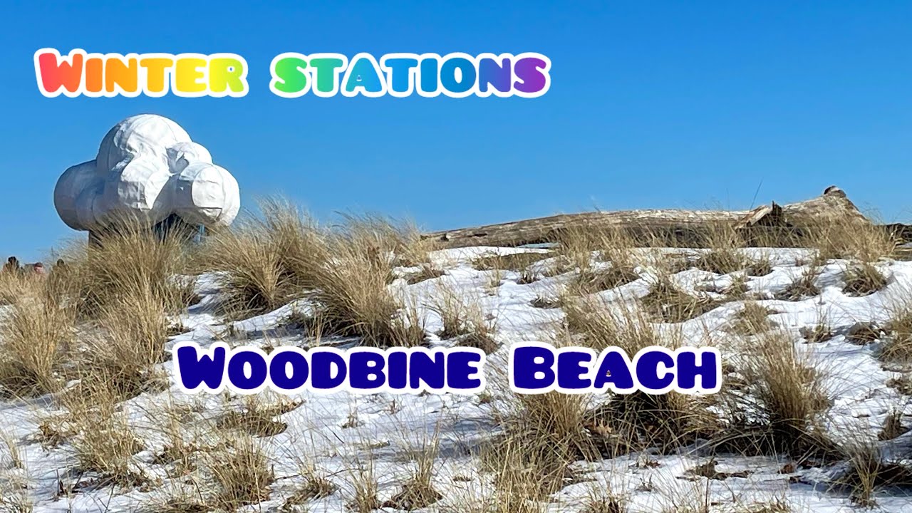 Winter Stations, Woodbine Beach, Toronto - YouTube