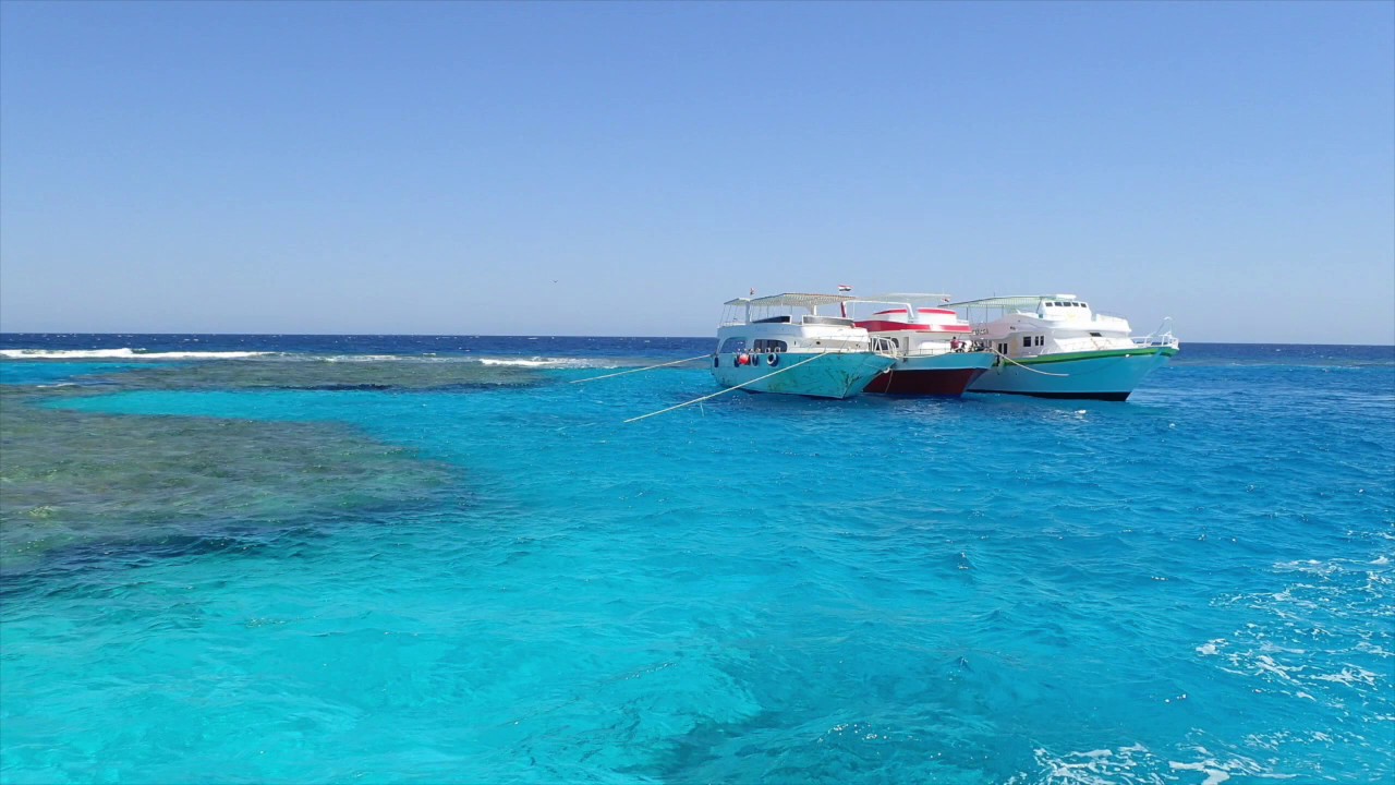 Plongées en Mer Rouge - Safaga, Egypte - Avril 2019 - YouTube