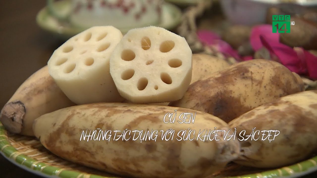 Củ sen - Những tác dụng với sức khỏe và sắc đẹp| VTC14 - YouTube
