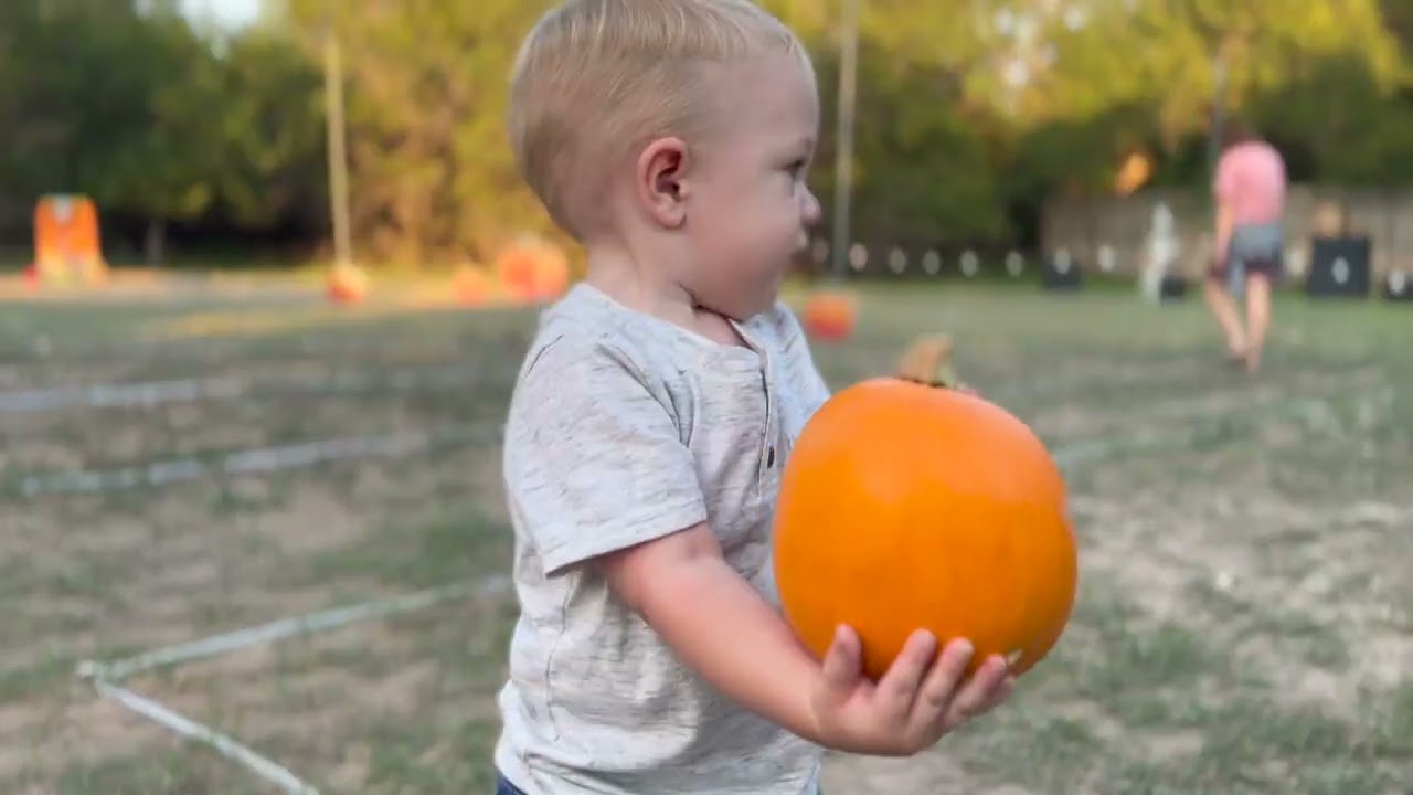 Experience the Magic Pumpkin Patch at Jellystone Park™! - YouTube