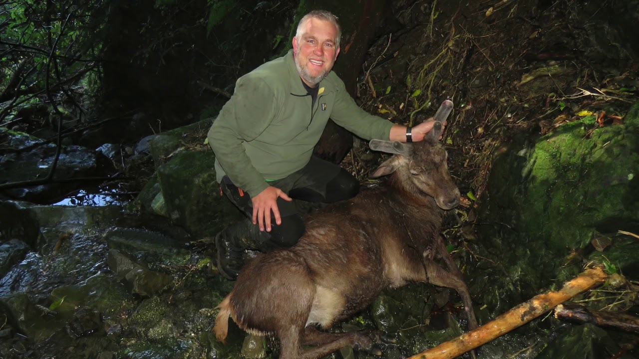 Kaikoura Hunt 2019 - YouTube