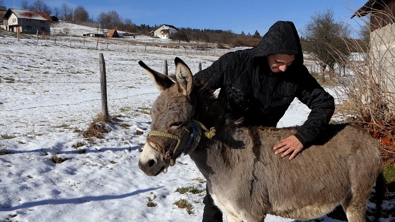 Kažu gdje ćeš na selo to je sramota, pa ljudi vi svi živite u gradu od ...