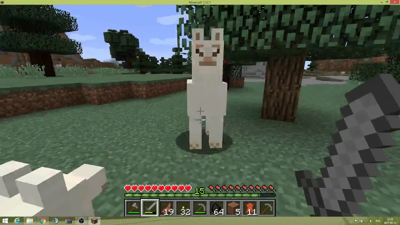 Minecraft #3 Lama in my living room :D - YouTube