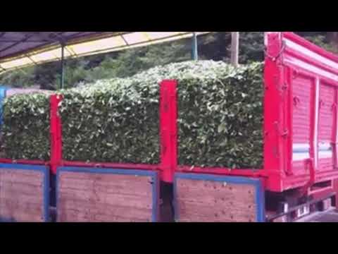 Vatanım diye, diye, Götürdüm Güneyce'ye- Anam. Hızır İNAN