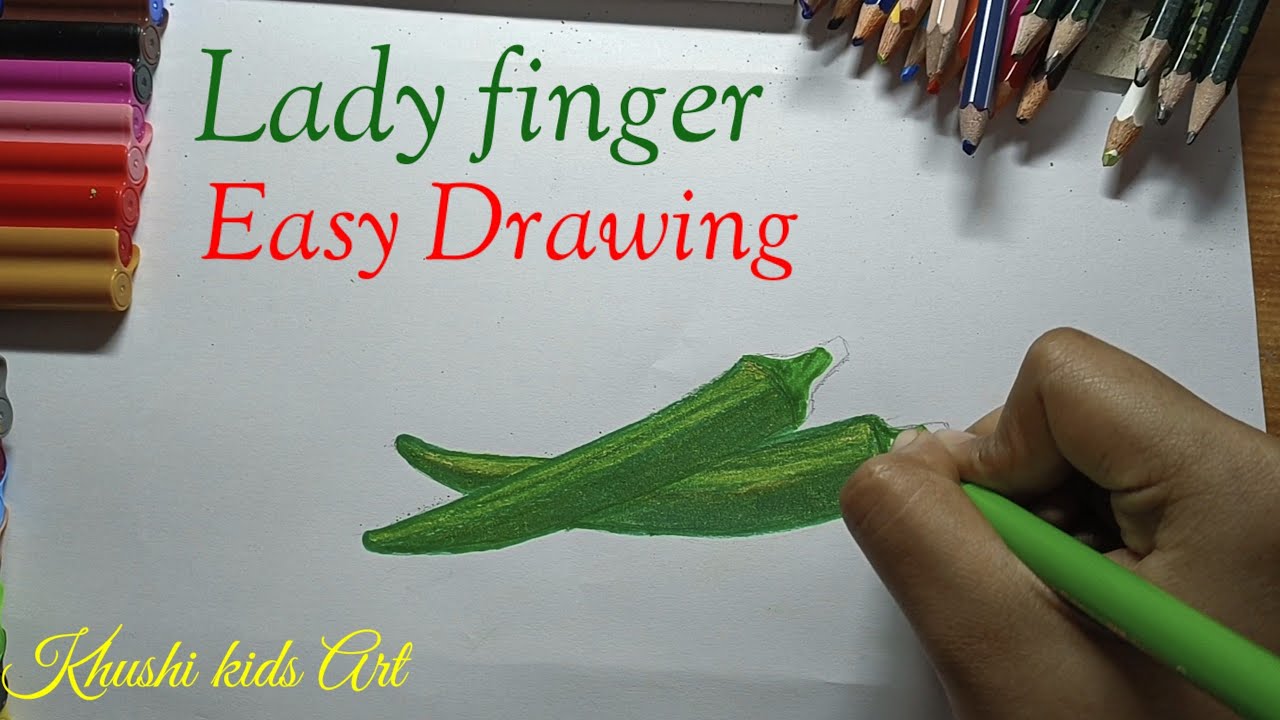 Ladyfinger Drawing