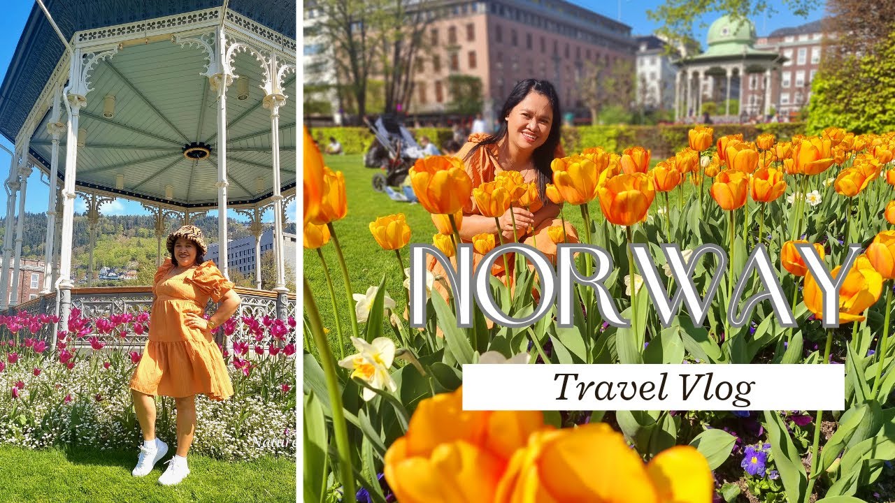 Enjoying the Beauty of Tulips Bloom in Bergen, Norway 🇧🇻 Spring Time in ...