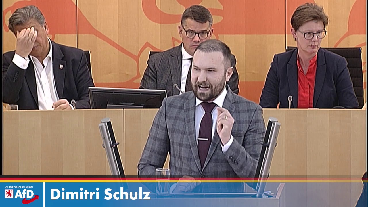Dimitri Schulz (AfD) - Sie bilden den parlamentarischen Arm des ...