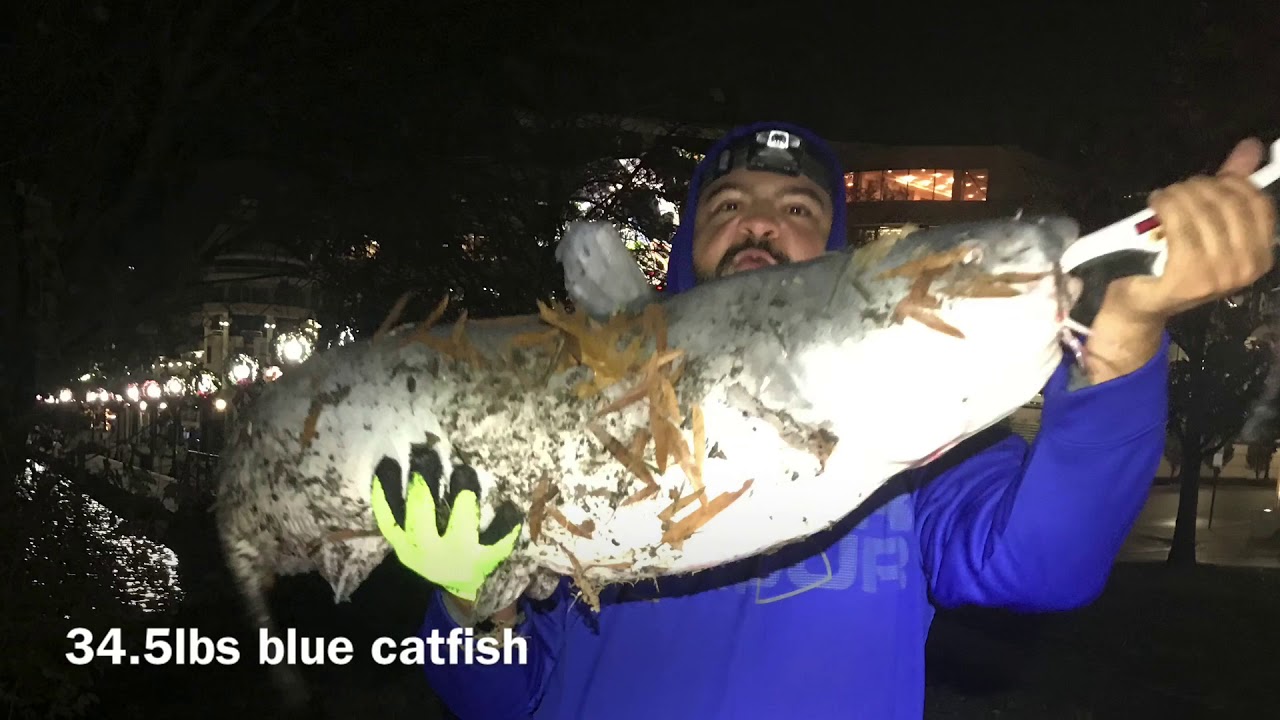 MONSTER BLUE CATFISH COMPILATION - YouTube