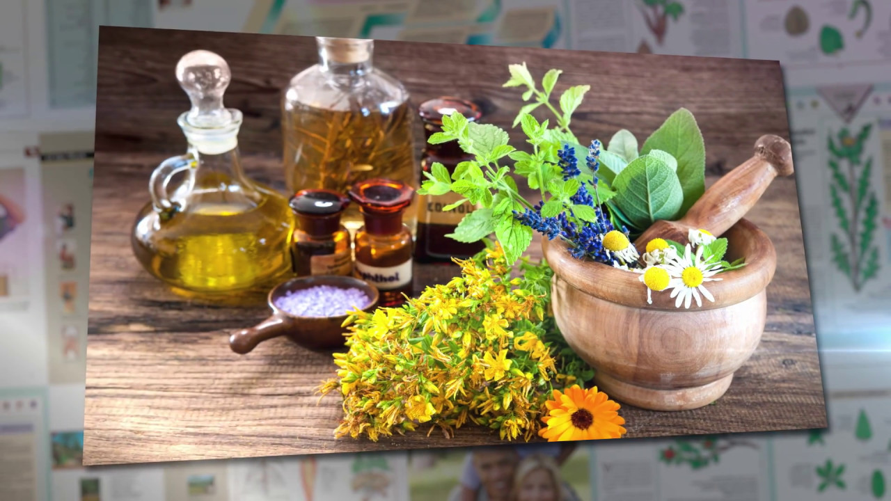 The Encyclopedia Of Medicinal Plants Book Pdf Download Manga Reader the-encyclopedia-of-medicinal-plants-book-pdf-download-manga-reader