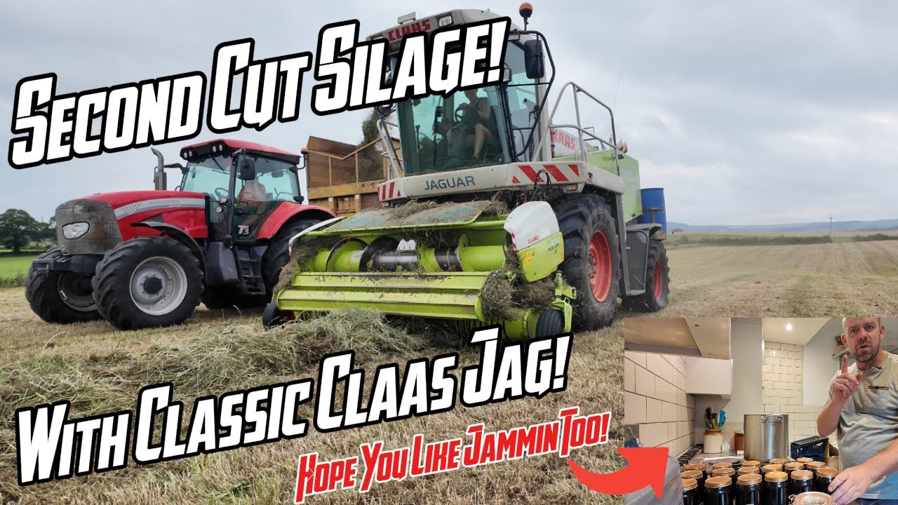 Harvest Time, Second Cut Silage Awesome Class Forager, First ...