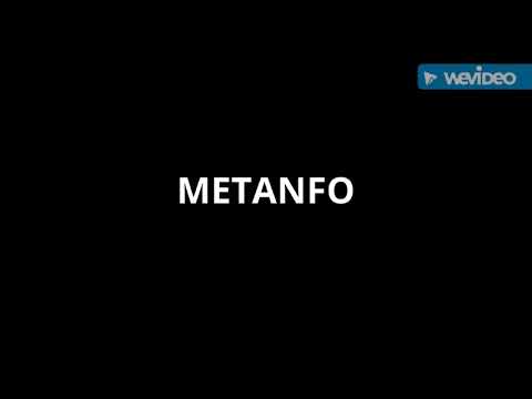 METANFO