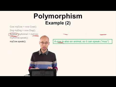 Week 3: Polymorphism & Design Basics - Inheritance, Polymorphism (unit 6) - YouTube
