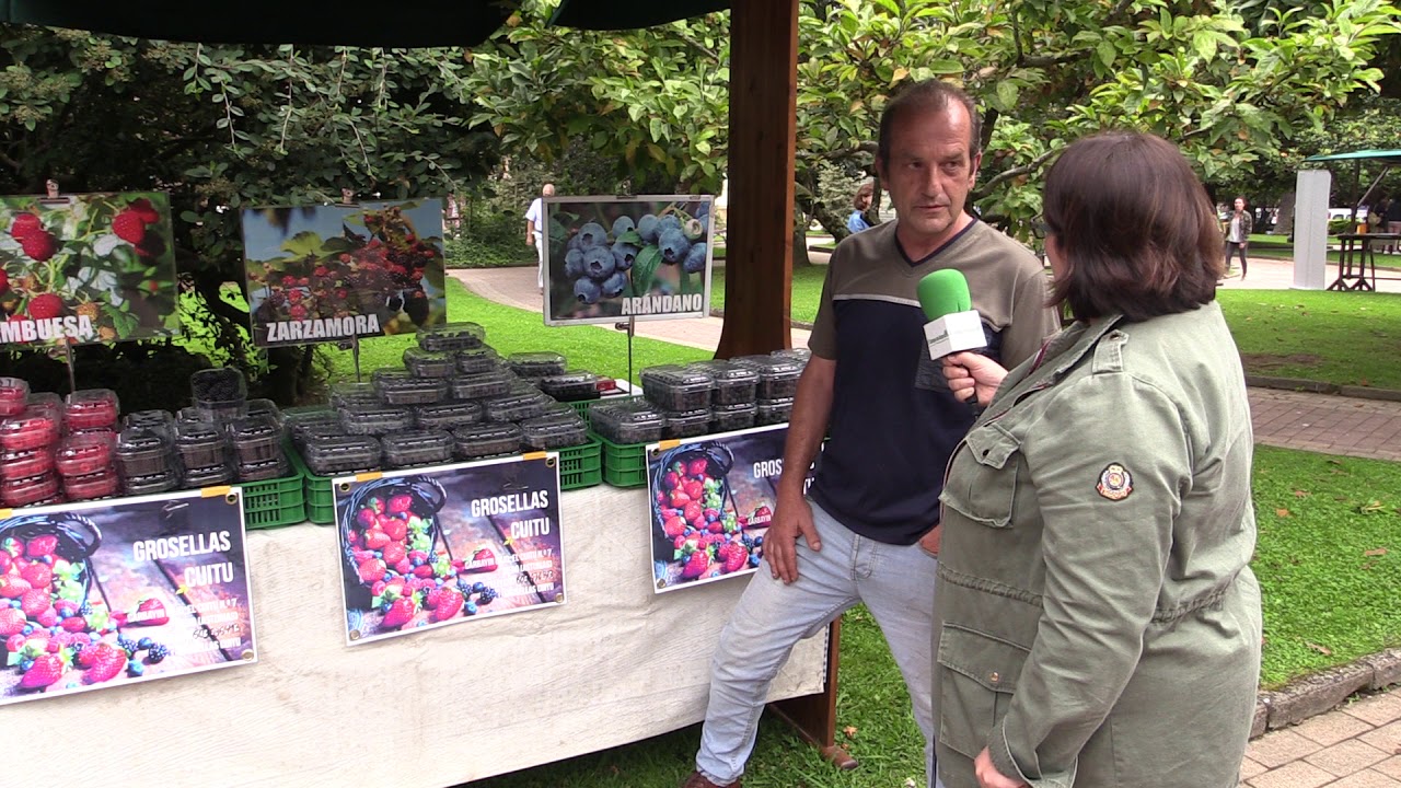 Grosellas Cuitu, una apuesta por el fruto rojo en Siero /El Campo de ...