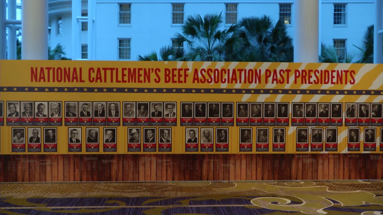Music City Hosts Cattle Industry Convention and NCBA Trade Show - YouTube