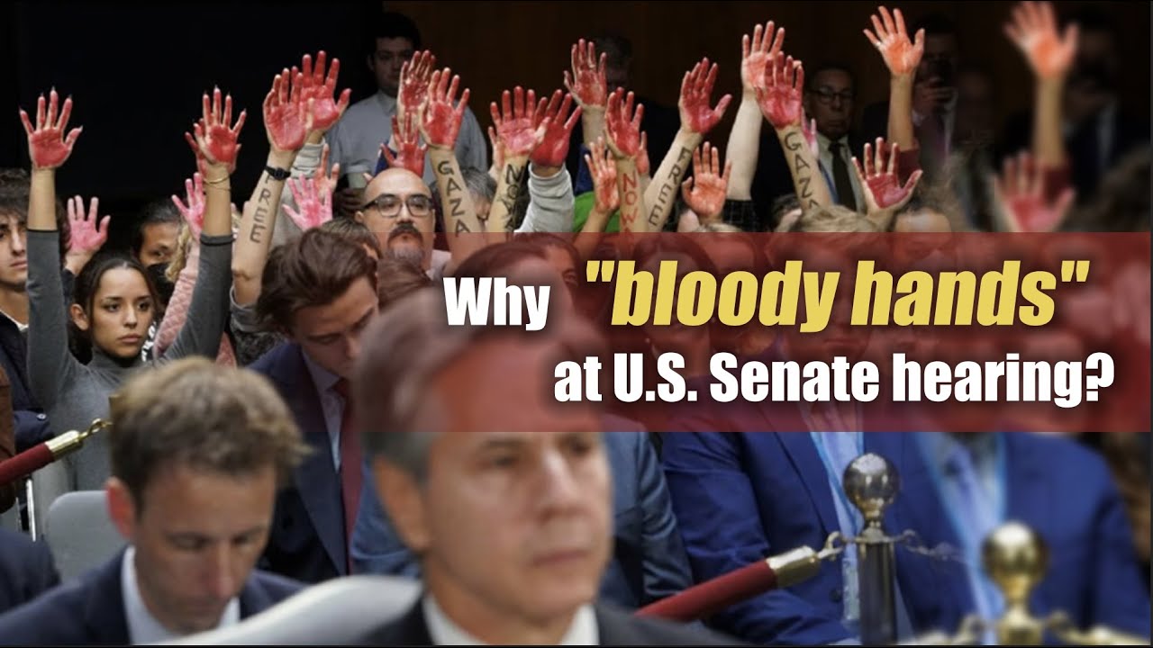 The Point Special: Why 'bloody hands' at U.S. Senate hearing? - YouTube