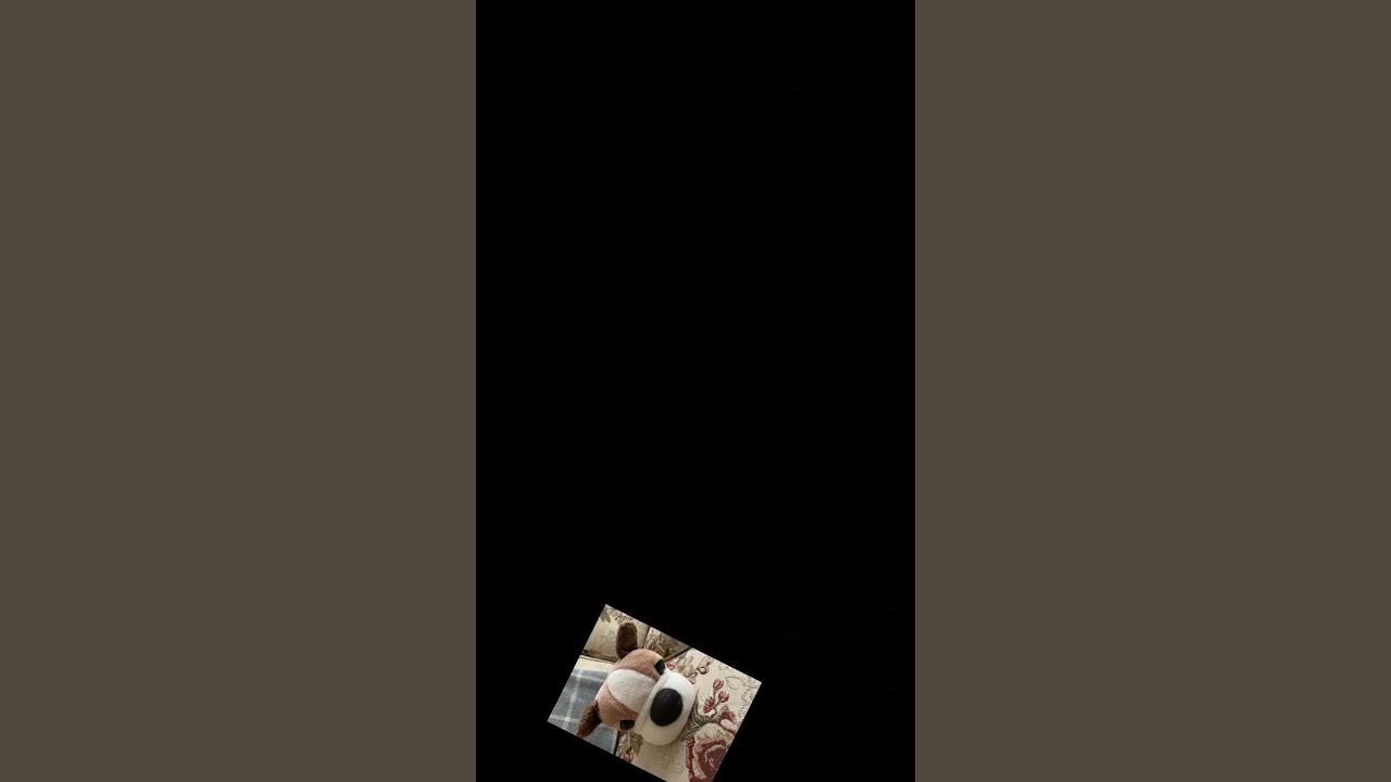 9 December 2024 - YouTube