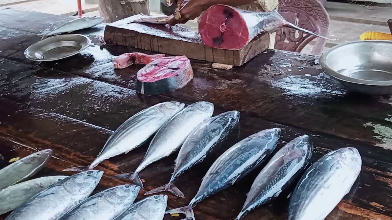 🐟 village fish | balaya fish | kelawalla fish | fish Video | #Tunafish ...