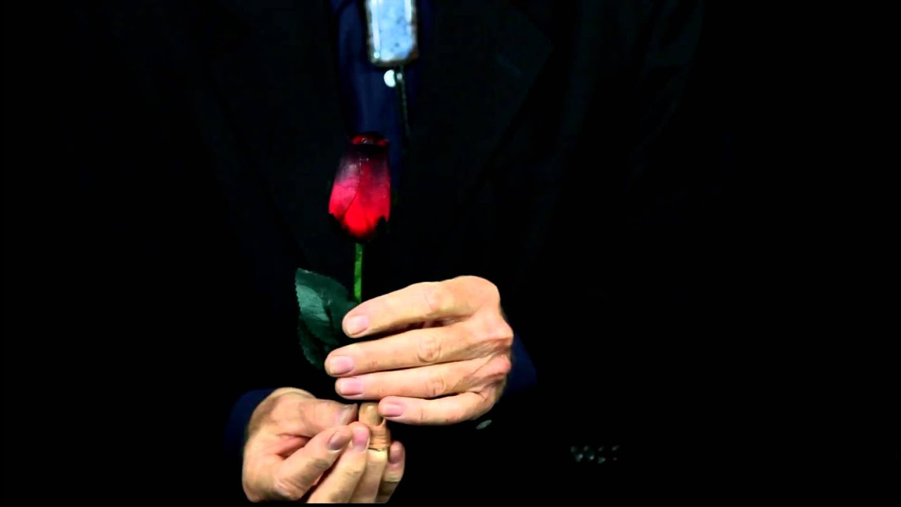 Brick Tilley: "The Florist" Magic Trick - YouTube