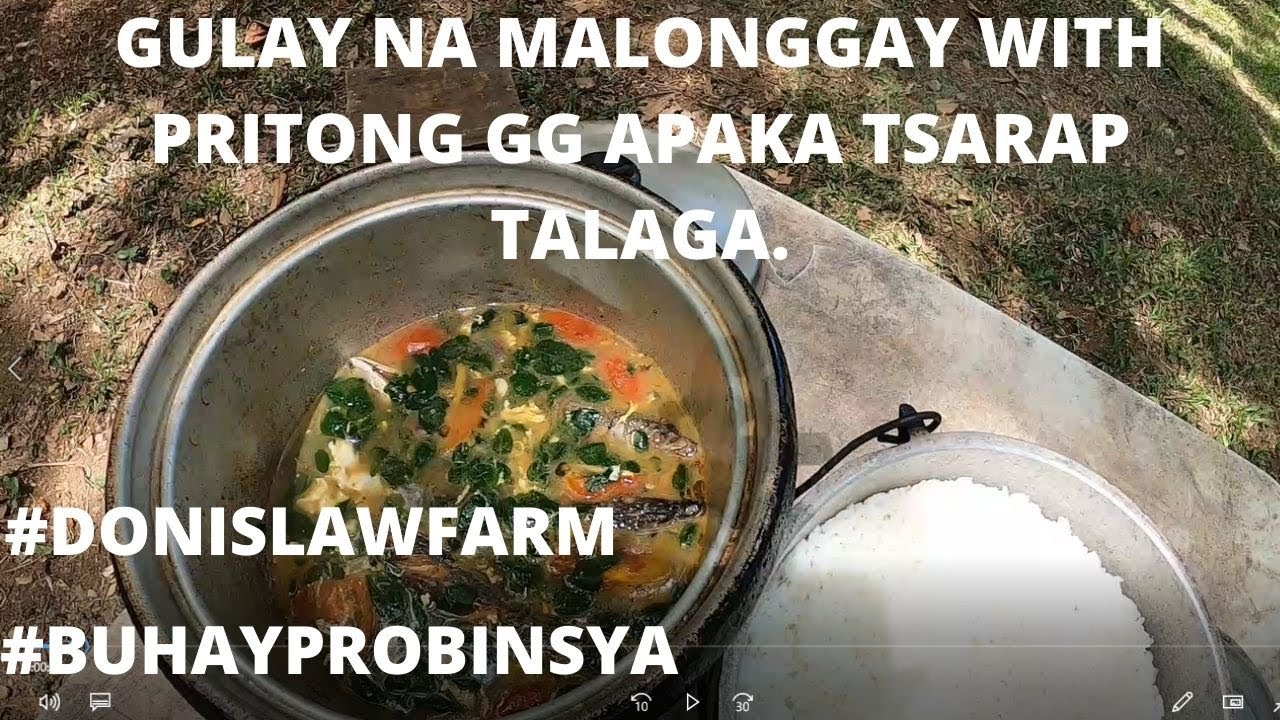 SARAP NG GULAY NA MALONGGAY WITH PRITONG GG #BUHAYPROBINSYA # ...