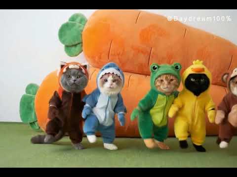 玩偶服小猫#cat #meow #cute #哈基米 #萌宠 #ai生成