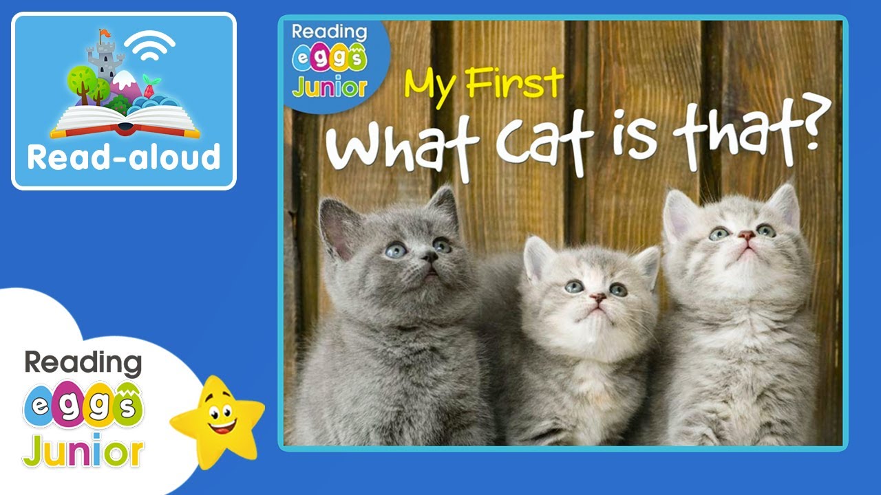 What Cat Is That? 🐈 Read-Aloud Book 📖 Kids' Nonfiction - YouTube