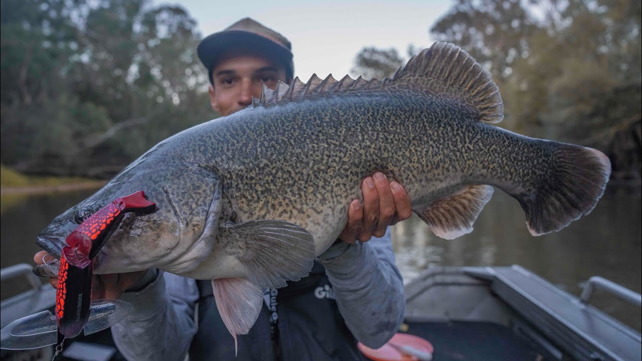 Living out of the tinny for a week on the river - Topwater MURRAY COD ...