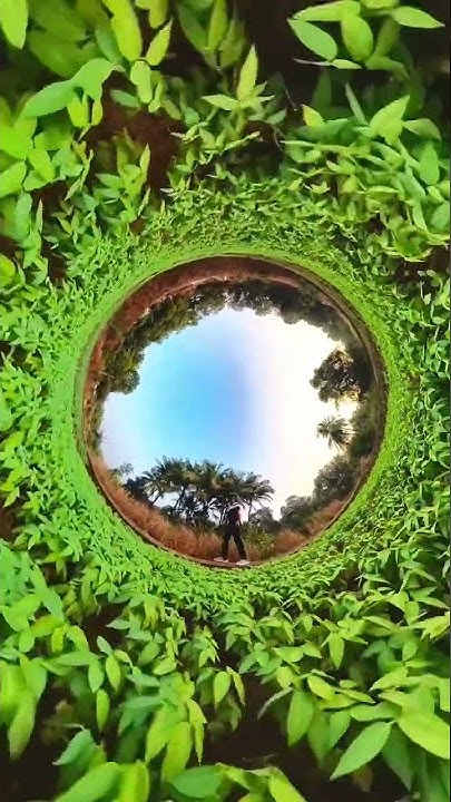 Inverted tiny planet | #insta360 - YouTube