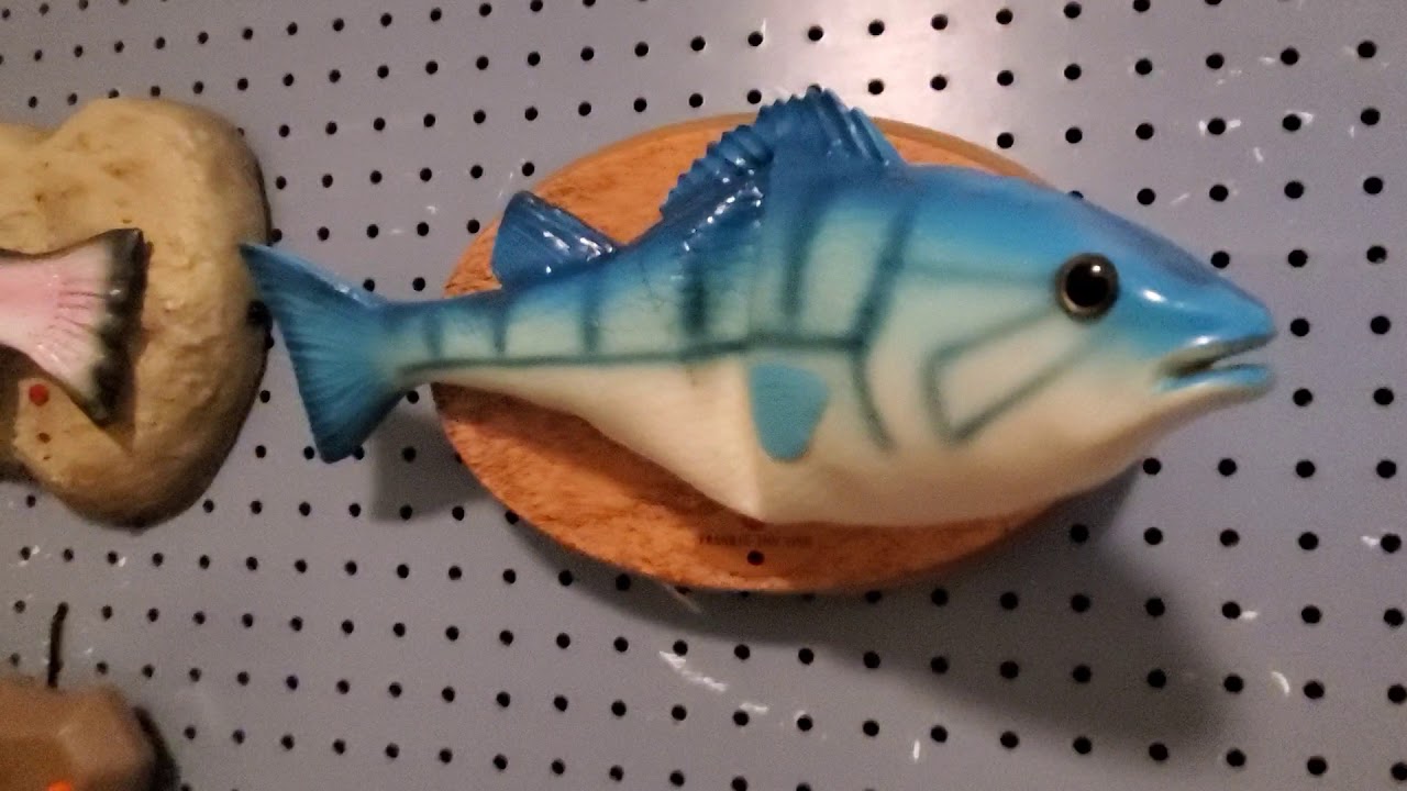 Frankie the fish - YouTube