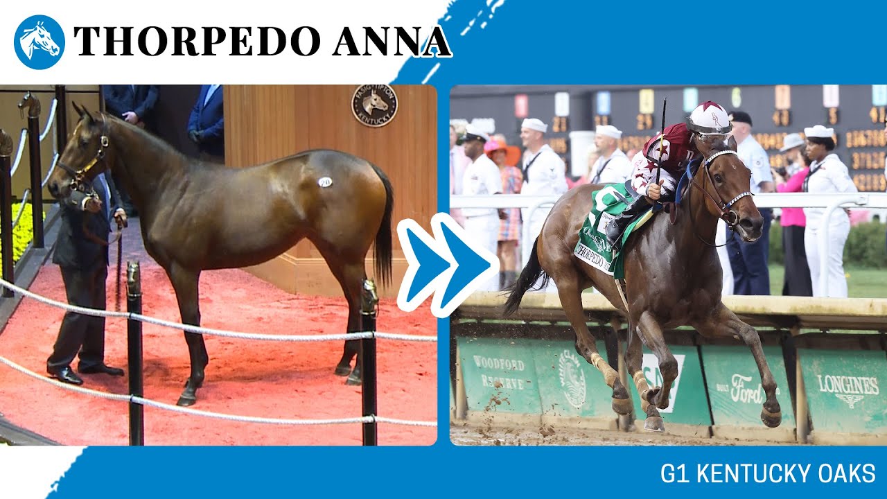 2024 G1 Kentucky Oaks winner THORPEDO ANNA at Kentucky October Yearlings - YouTube