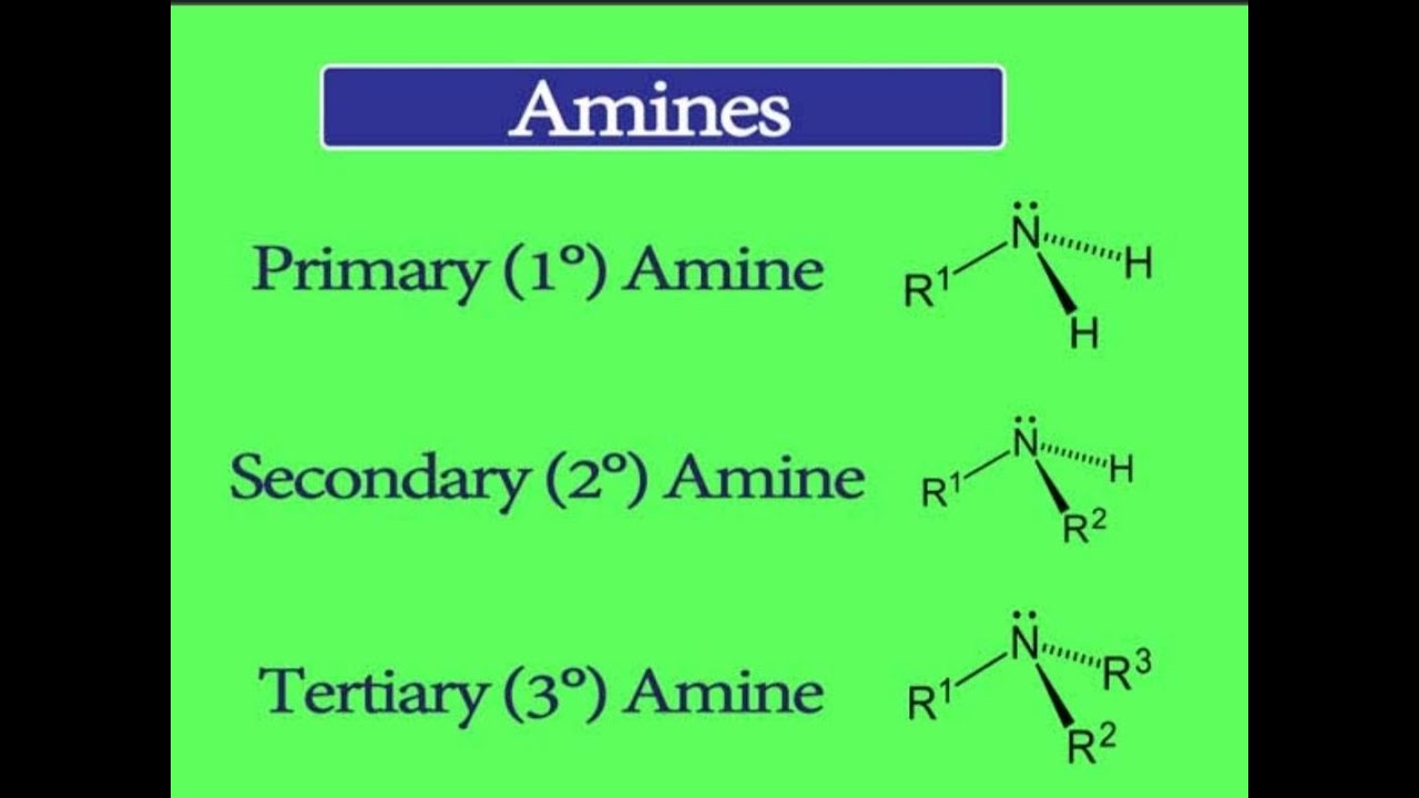 magic of amines-2 - YouTube
