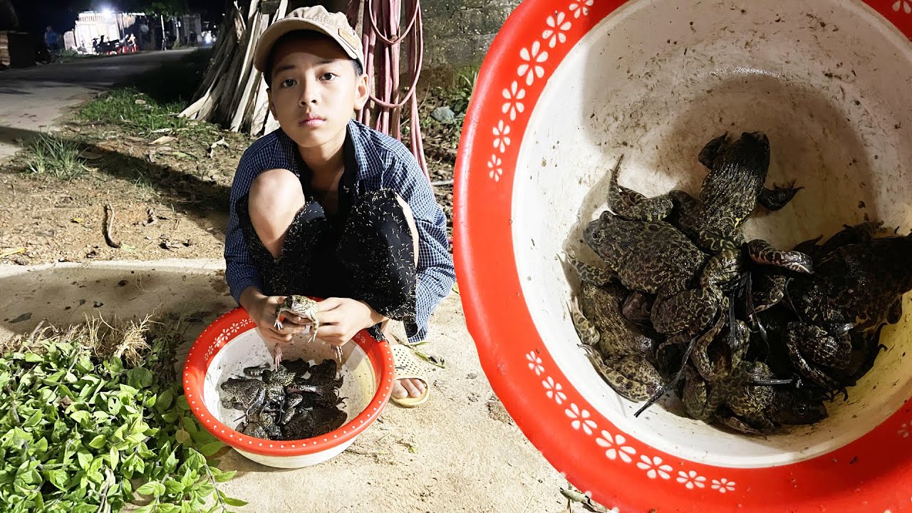 Catch frogs and wild vegetable to sell for money /homeless poor boy ...