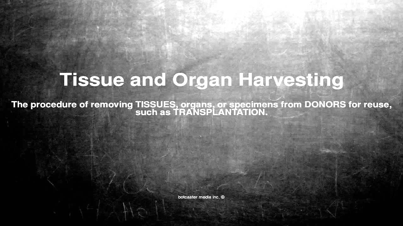 Medical Vocabulary What Does Tissue And Organ Harvesting Mean YouTube medical-vocabulary-what-does-tissue-and-organ-harvesting-mean-youtube