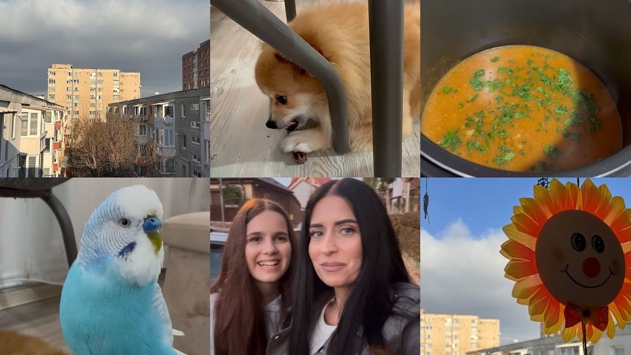 Vlog: S-a stricat mașina de spălat rufe! Tocăniță cu carne de porc ...