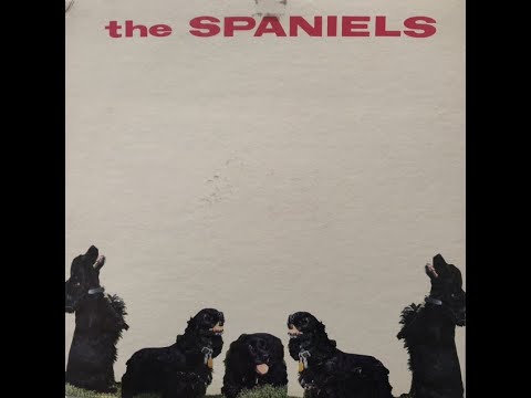 The Spaniels / One-Hundred Years From Today - YouTube