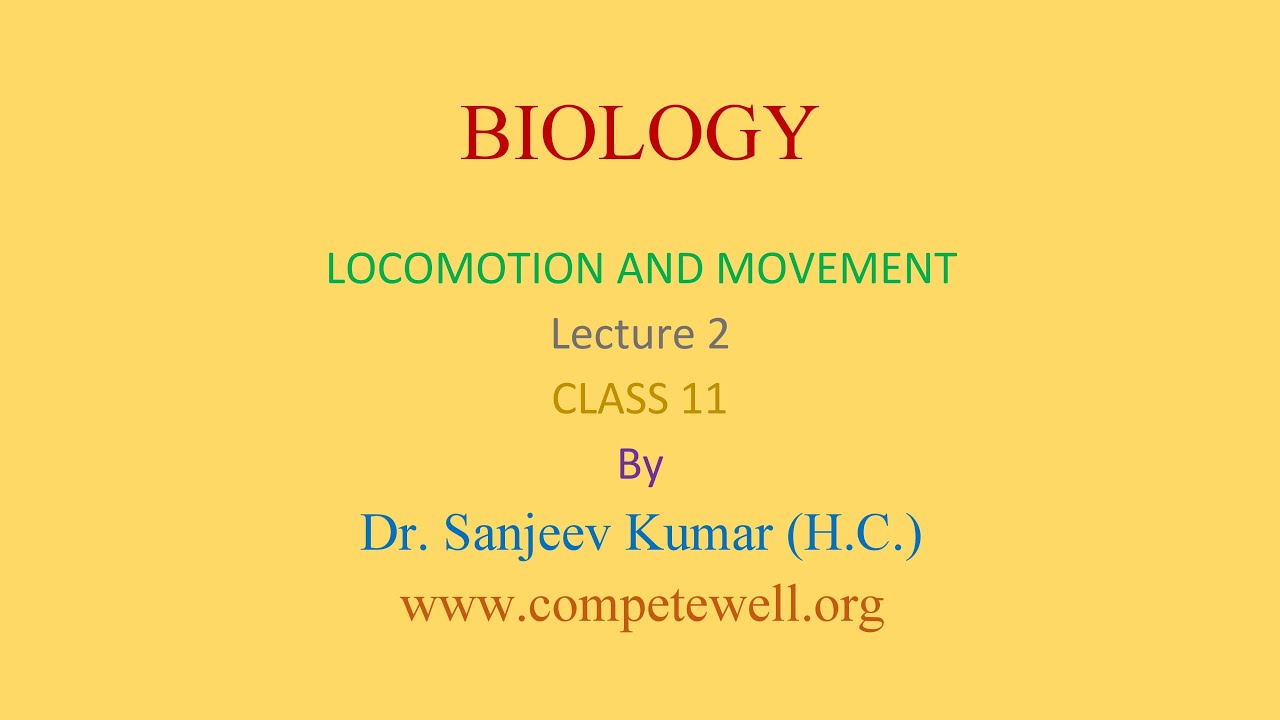 Biology Locomotion and Movement Lecture 2 - YouTube