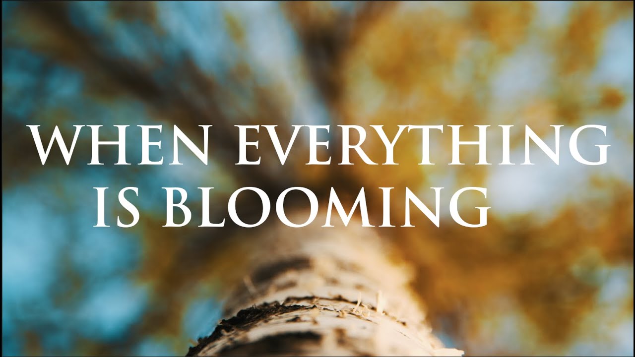 When everything is blooming - YouTube