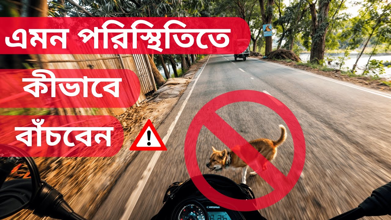 How to live in such a situation | এই ভিডিও টি আপনার একবার হলেও দেখা উচি ...