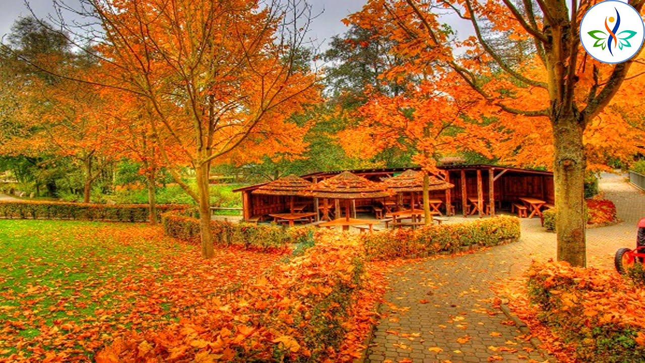 "Cozy Autumn Scene " by Soul Relaxed, Peaceful Autumn Morning w/ Happy ...