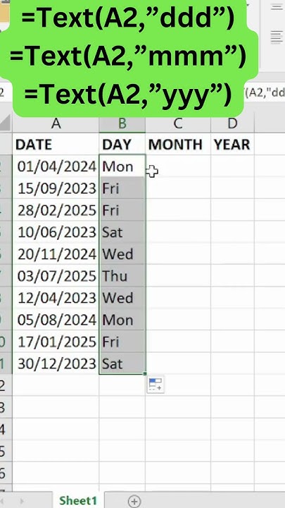 How to Convert Date into Year, Month, or Day using Text Function in Excel - YouTube