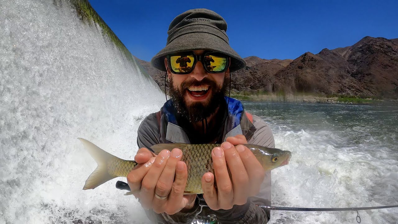 Catching Yellowfish on the Orange River with Some Thing Fishy - YouTube