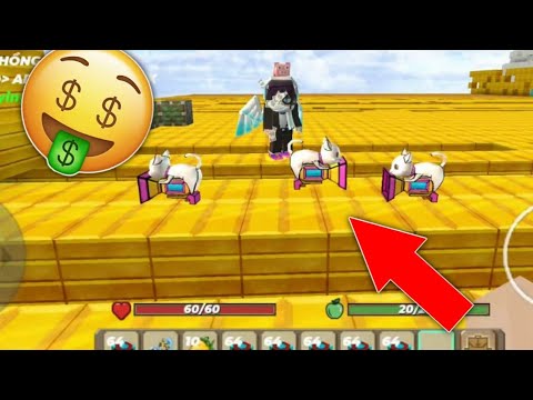 Cat Gun🤩 In Skyblock (Garena Blockman Go) - YouTube