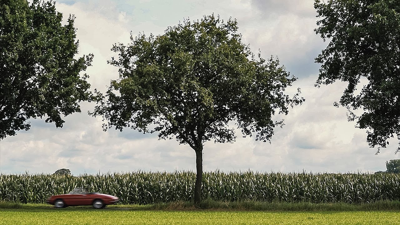 My ALFA Promovideo - YouTube