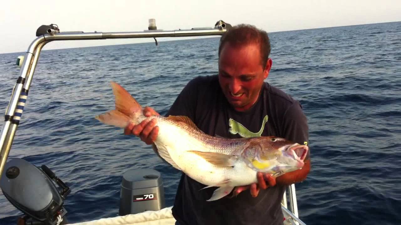 ΨΑΡΕΜΑ ΣΥΝΑΓΡΙΔΕΣ ΜΕ ΠΑΡΑΓΑΔΙ ΜΕΝΤΖΟ - YouTube