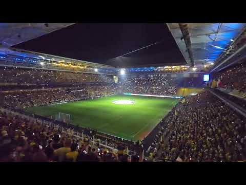 Fenerbahçe - Benfica Maç Öncesi Işık Şov #fenerbahçe #championsleague #video 
