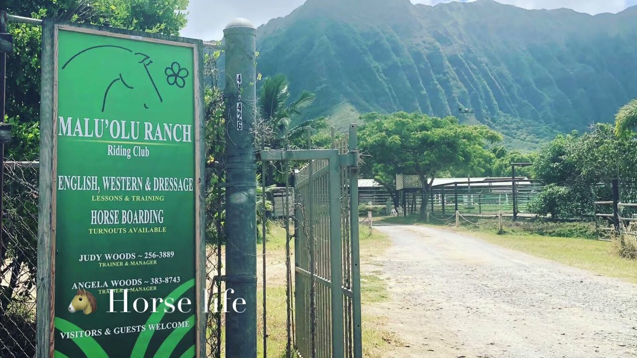 Malu olu Ranch HAWAII - YouTube