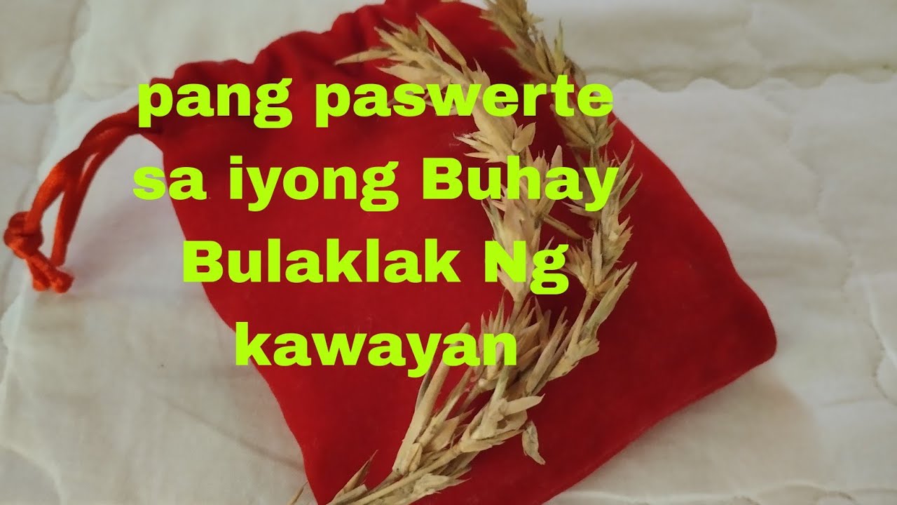 #Pang pa swerte sa iyong Buhay/ bulaklak Ng kawayan - YouTube