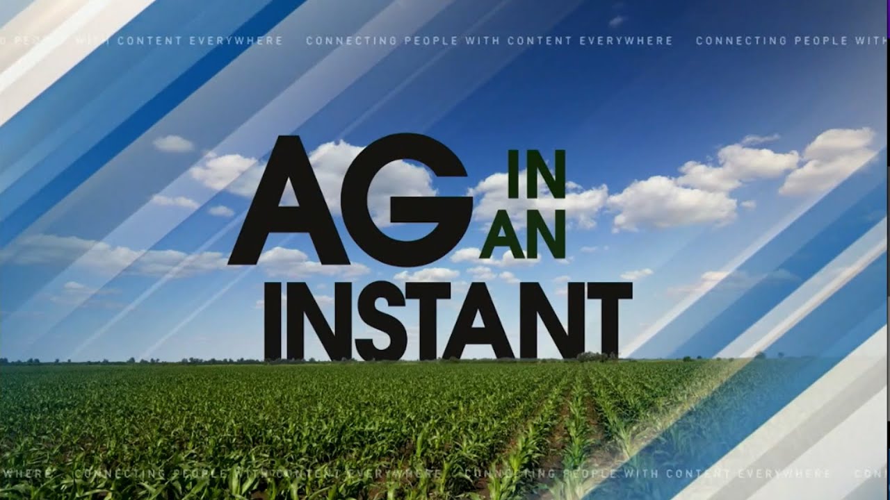 Ag In An Instant: Celebration of the Horse Day, Plus Corn Intersection ...