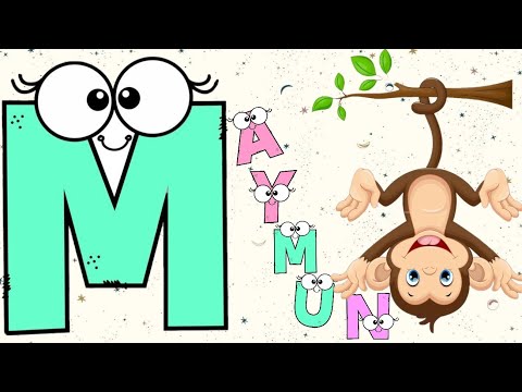 M - Maymun M harfi #sevimlihayvanlar
