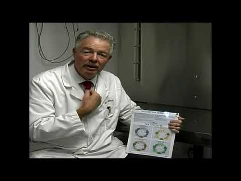 Can Ticks Reproduce On Dogs